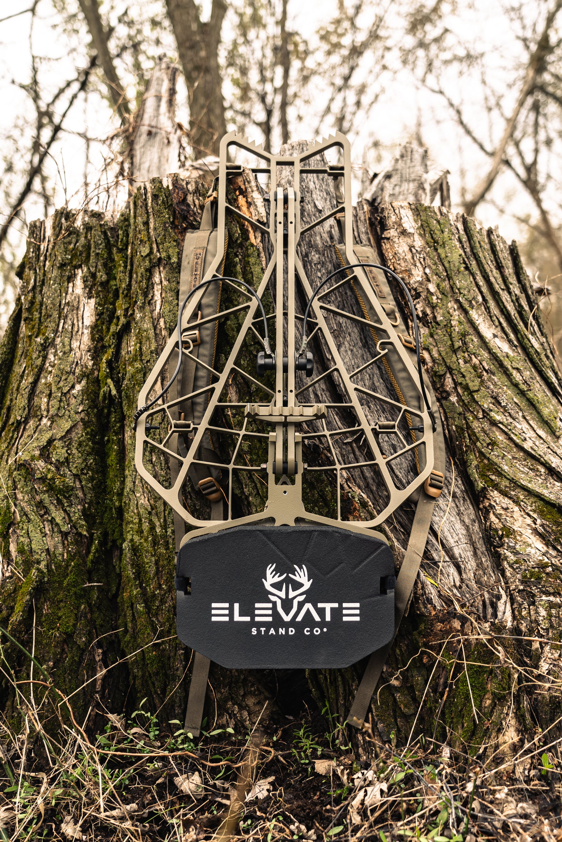 Rize X Hang On – Elevate Stand Co.